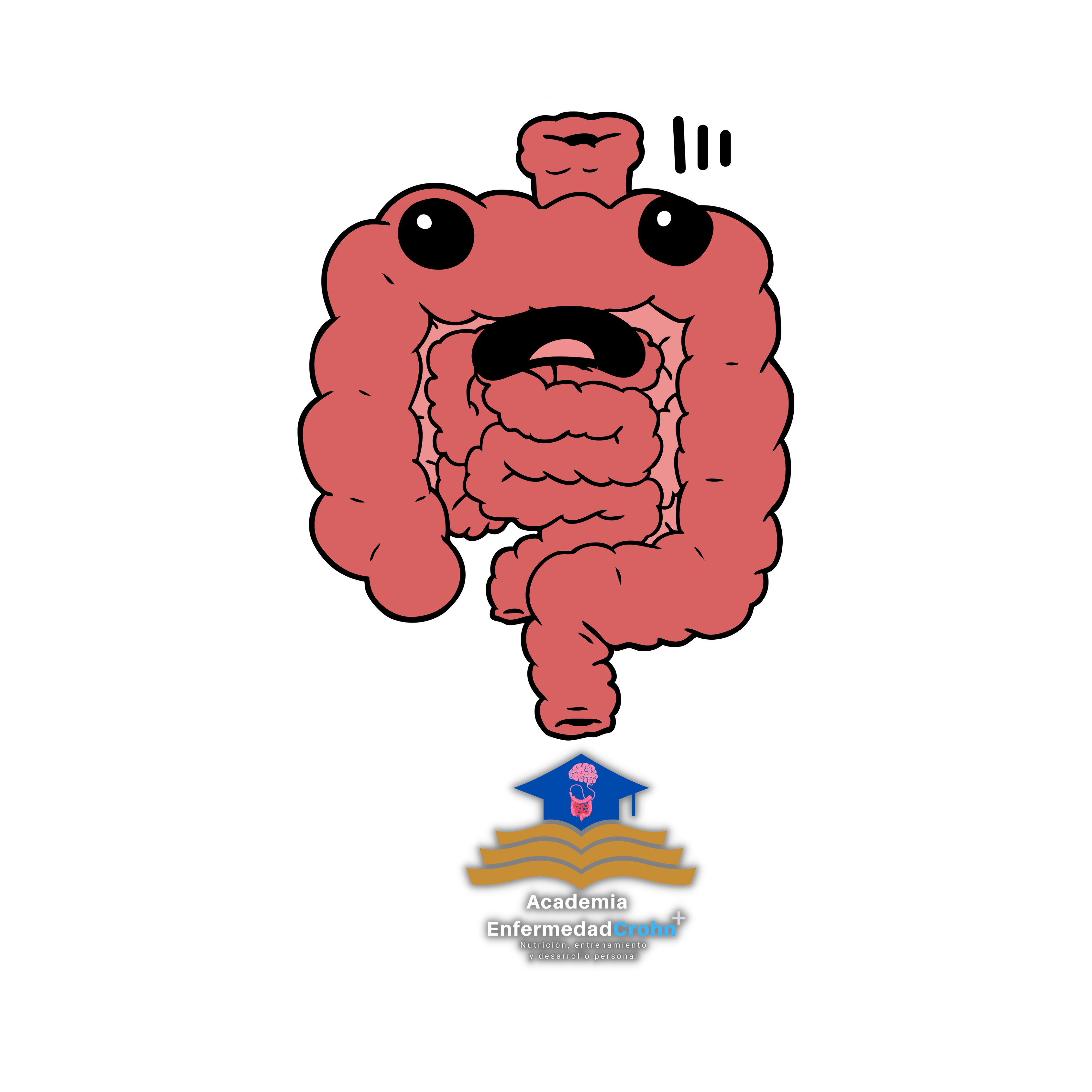 Fibra y Enfermedad Inflamatoria Intestinal (EII)